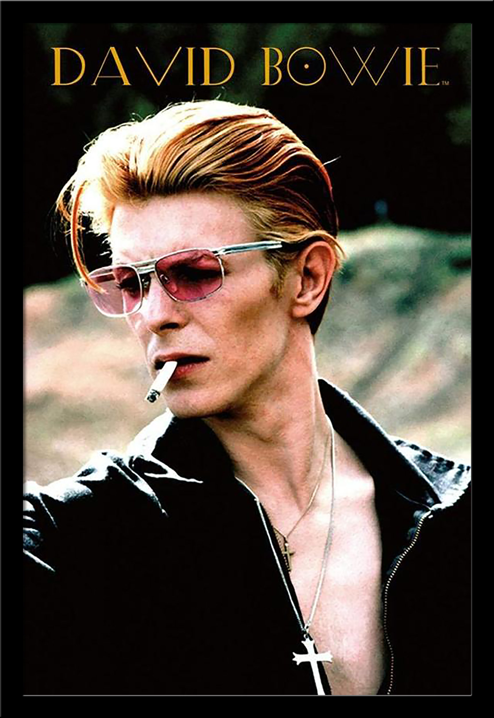 Buy Art For Less David Bowie Rebel 1974 Diamond Dogs Album - Picture ...