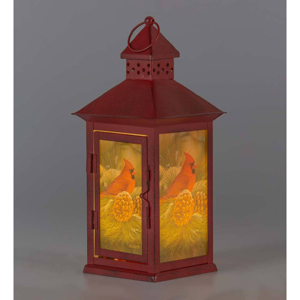 Cardinal-lantern | Wayfair