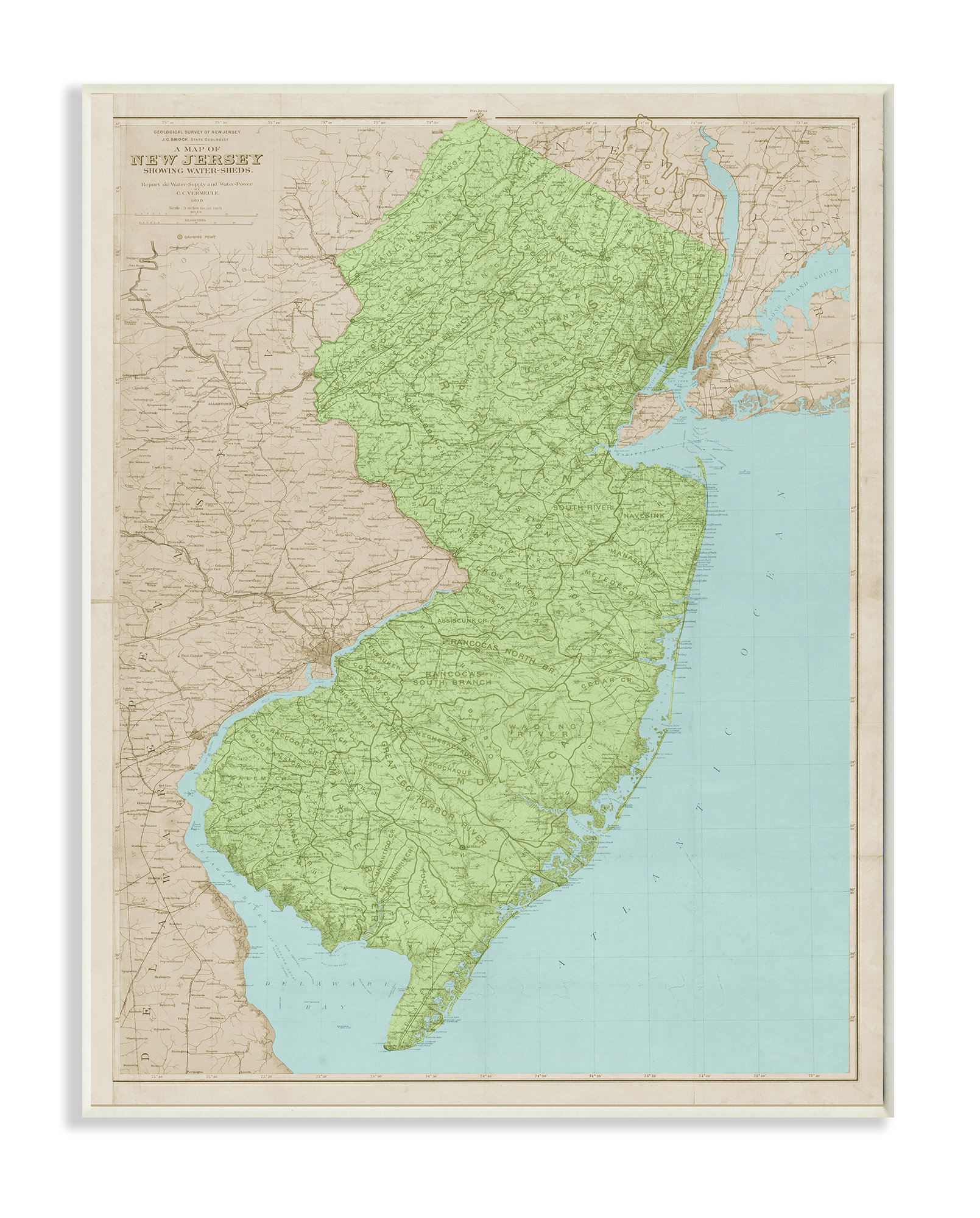 Ebern Designs Map Of New Jersey State Border by Daphne Polselli ...