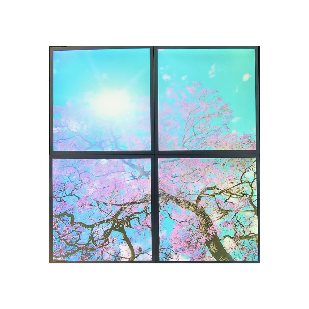 Ebern Designs Hifsa Sky Panel with Cherry Blossom Trees 2D Effect 23.6 ...