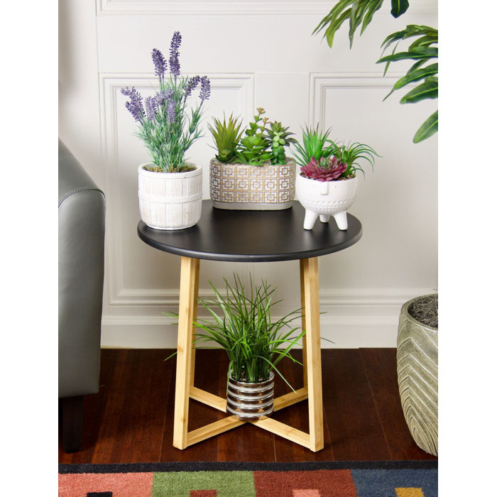 Wade Logan® Alfie-Thomas End Table & Reviews | Wayfair