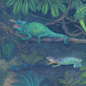 Bay Isle Home Karnesha Wallpaper | Wayfair