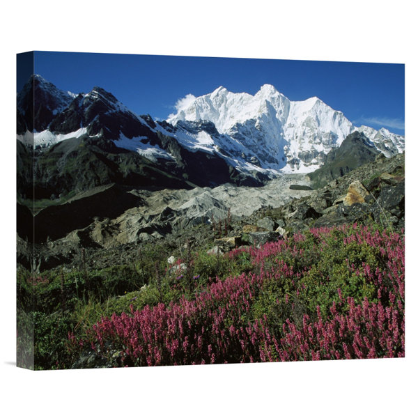 Bless international Mt Chomolonzo 'Wildflowers And Kangshung Glacier ...