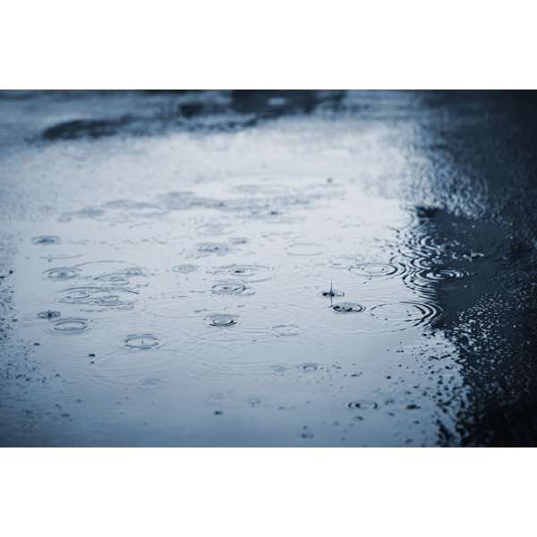 Ebern Designs Rain - Wrapped Canvas Photograph | Wayfair