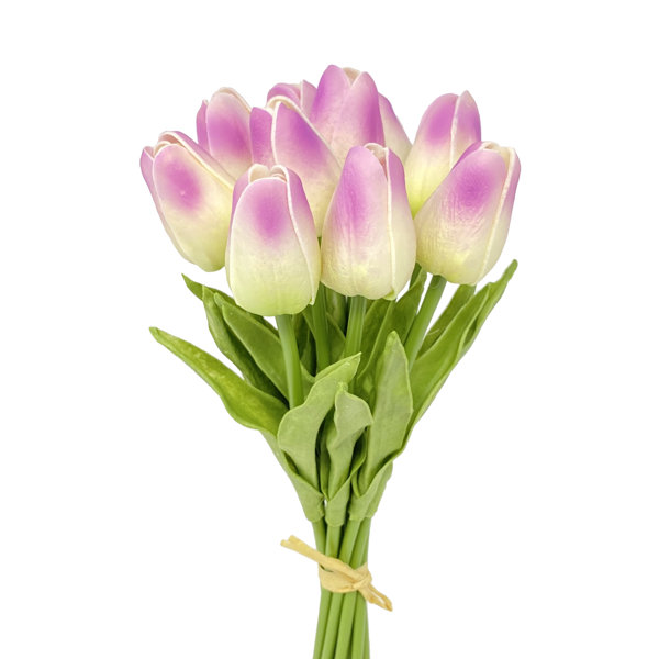 Vc-tulip-slx3 | Wayfair