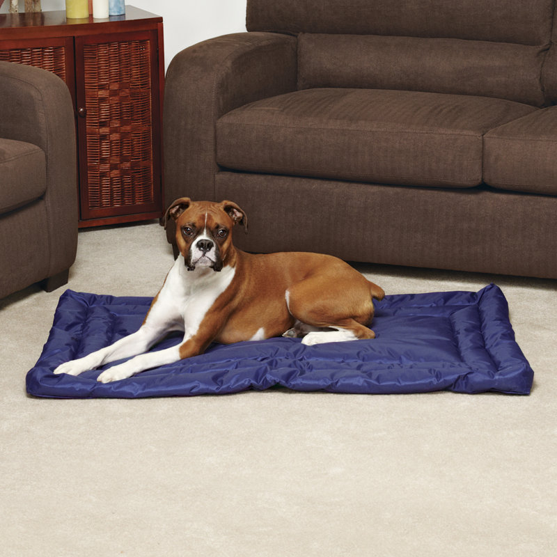 Tucker Murphy Pet™ Roundtree Water Resistant Dog Mat & Reviews | Wayfair