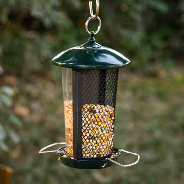H-F Vista Squirrel Proof Hopper Bird Feeder & Reviews | Wayfair