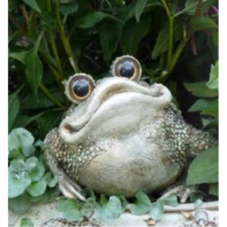 August Grove® Angelick Toad Statue | Wayfair