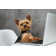 Ebern Designs Dog At Computer Laptop Yorkshire Terrier by Pixelliebe ...