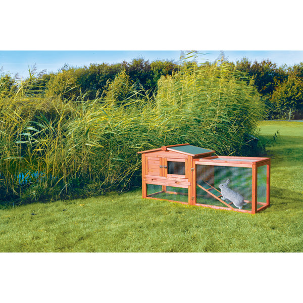 Tucker Murphy Pet™ Lucius Weather Resistant Hutch with Ramp & Reviews ...