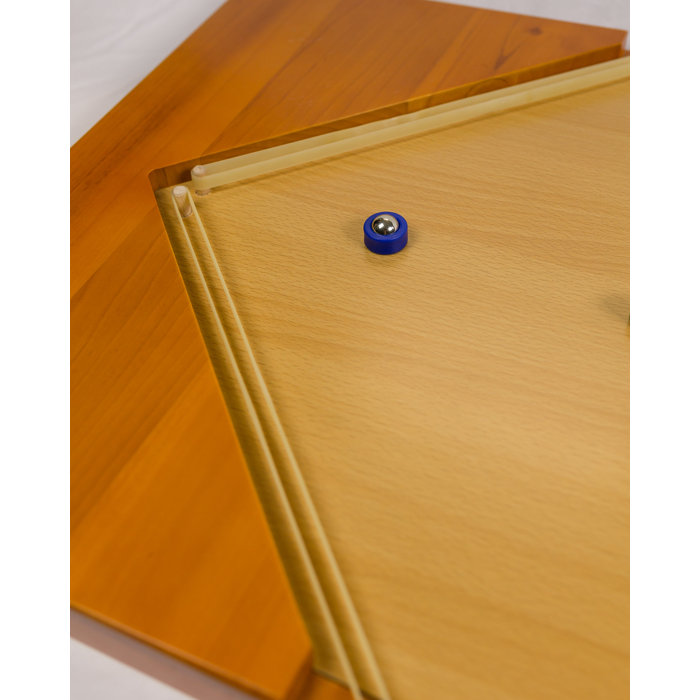 Intex Entertainment Inc Tabletop Shuffleboard & Reviews | Wayfair