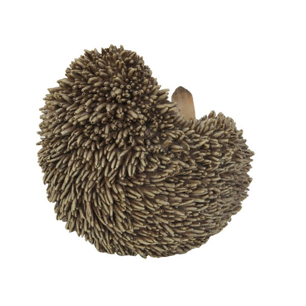 Hi-Line Gift Ltd. Hedgehog On Back Statue & Reviews | Wayfair