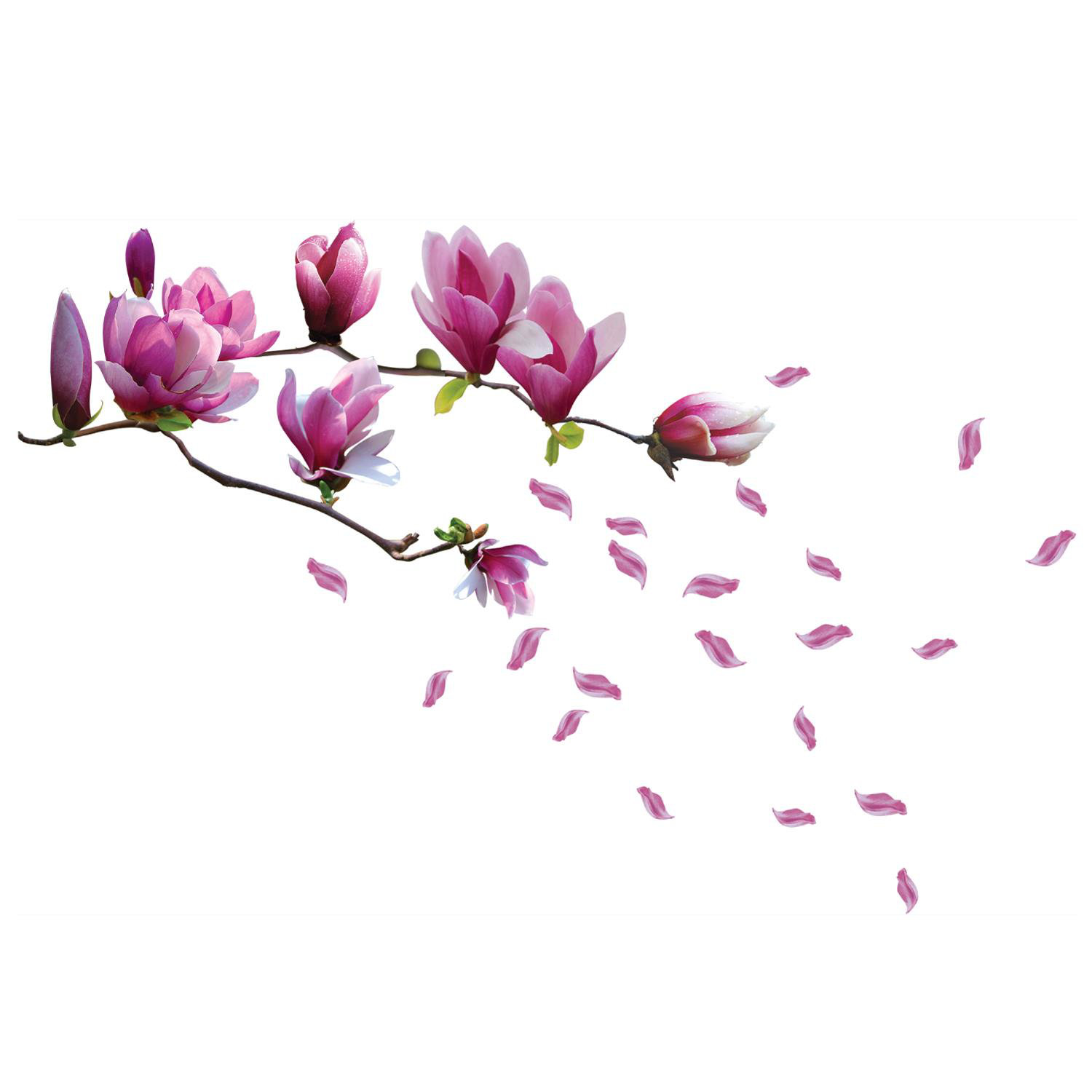 Winston Porter Magnolia Flower Wall Décor | Wayfair