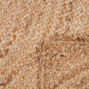 Beachcrest Home Nell Handmade Hand Braided Jute/Sisal Brown Rug ...