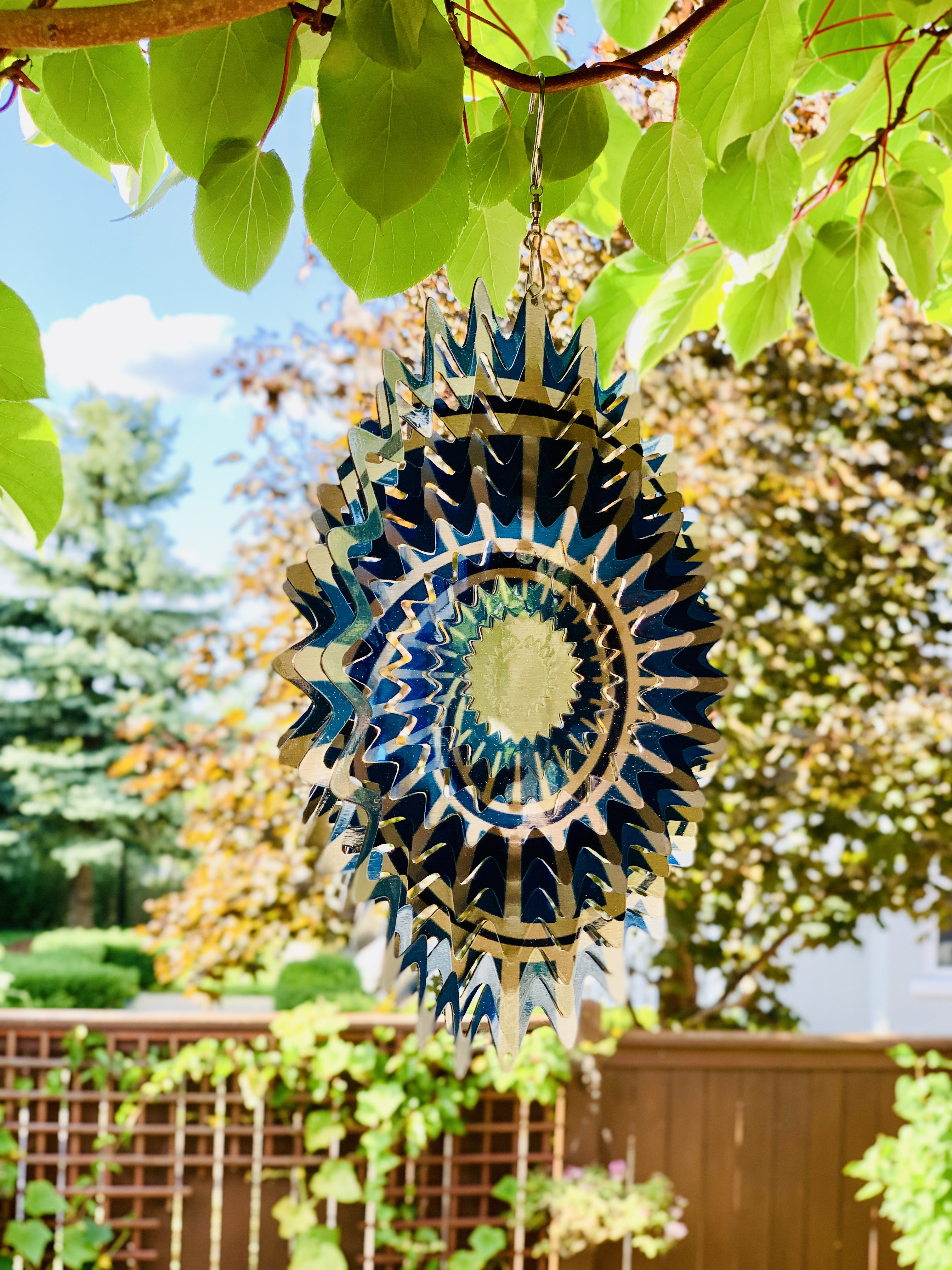 Wrought Studio Curameng 3D Hanging Spiral Nova Splash Rotator | Wayfair