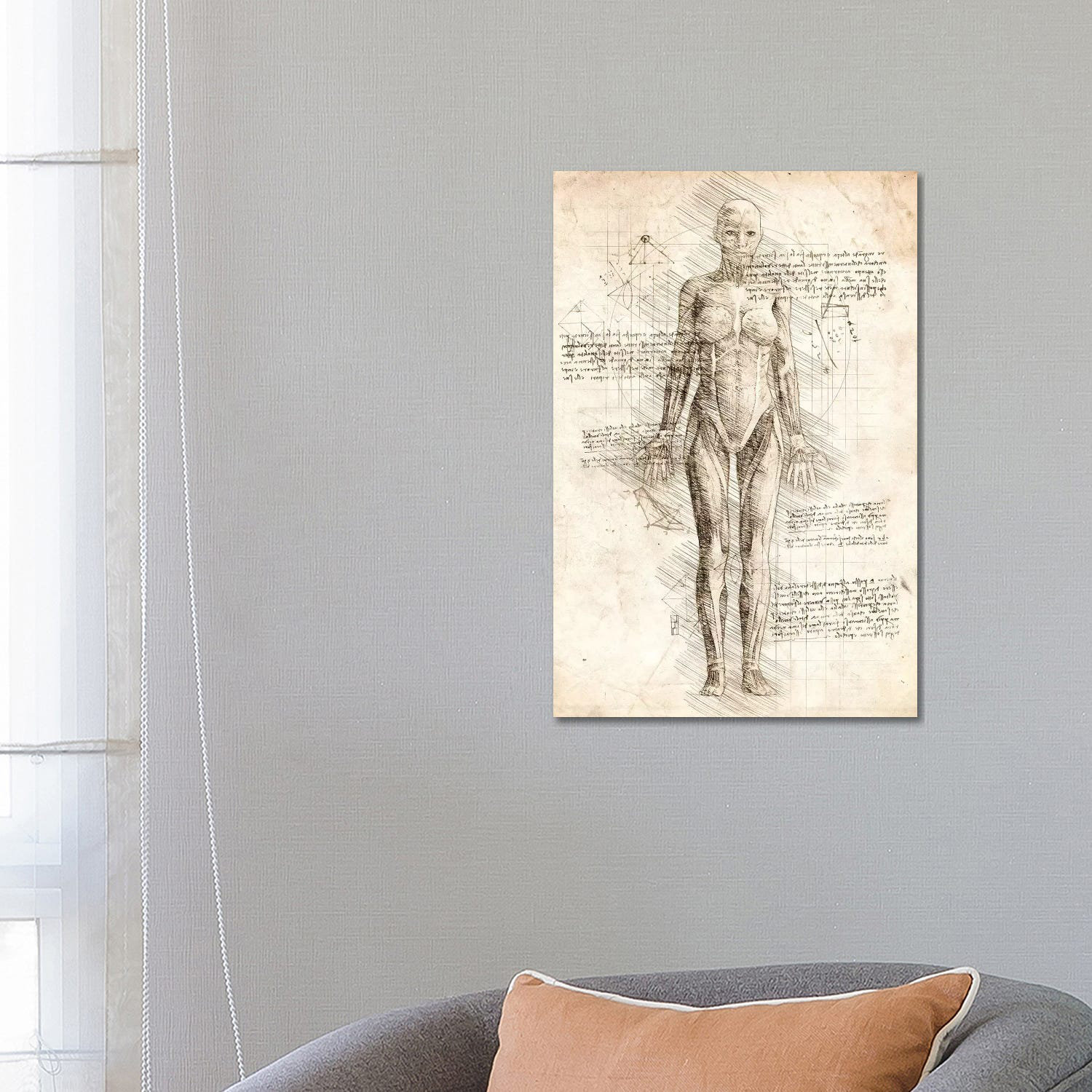 Ophelia & Co. Human Female Muscles Anatomy by - Wrapped Canvas ...