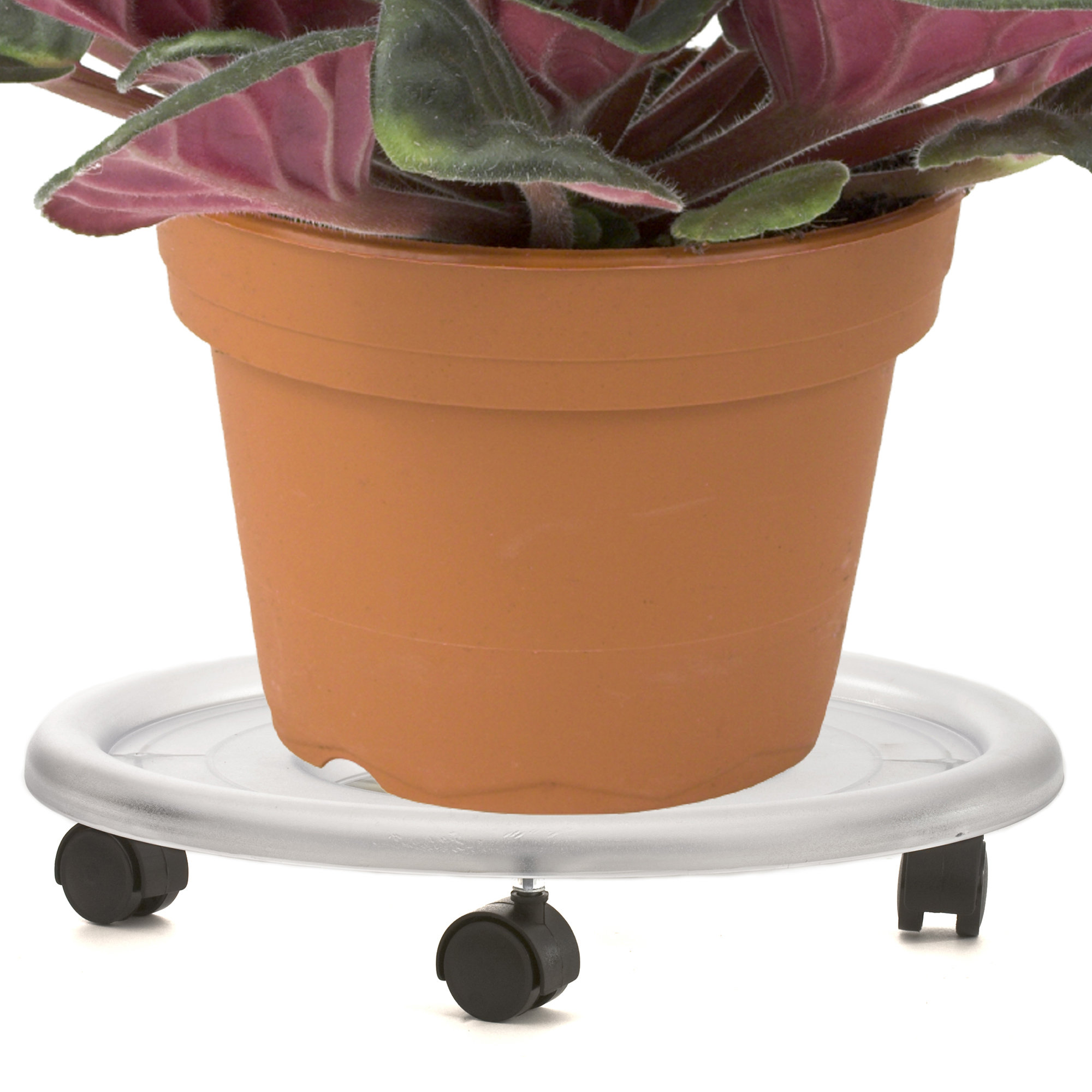 Gardener's Blue Ribbon Oval Rolling Caddy & Reviews | Wayfair