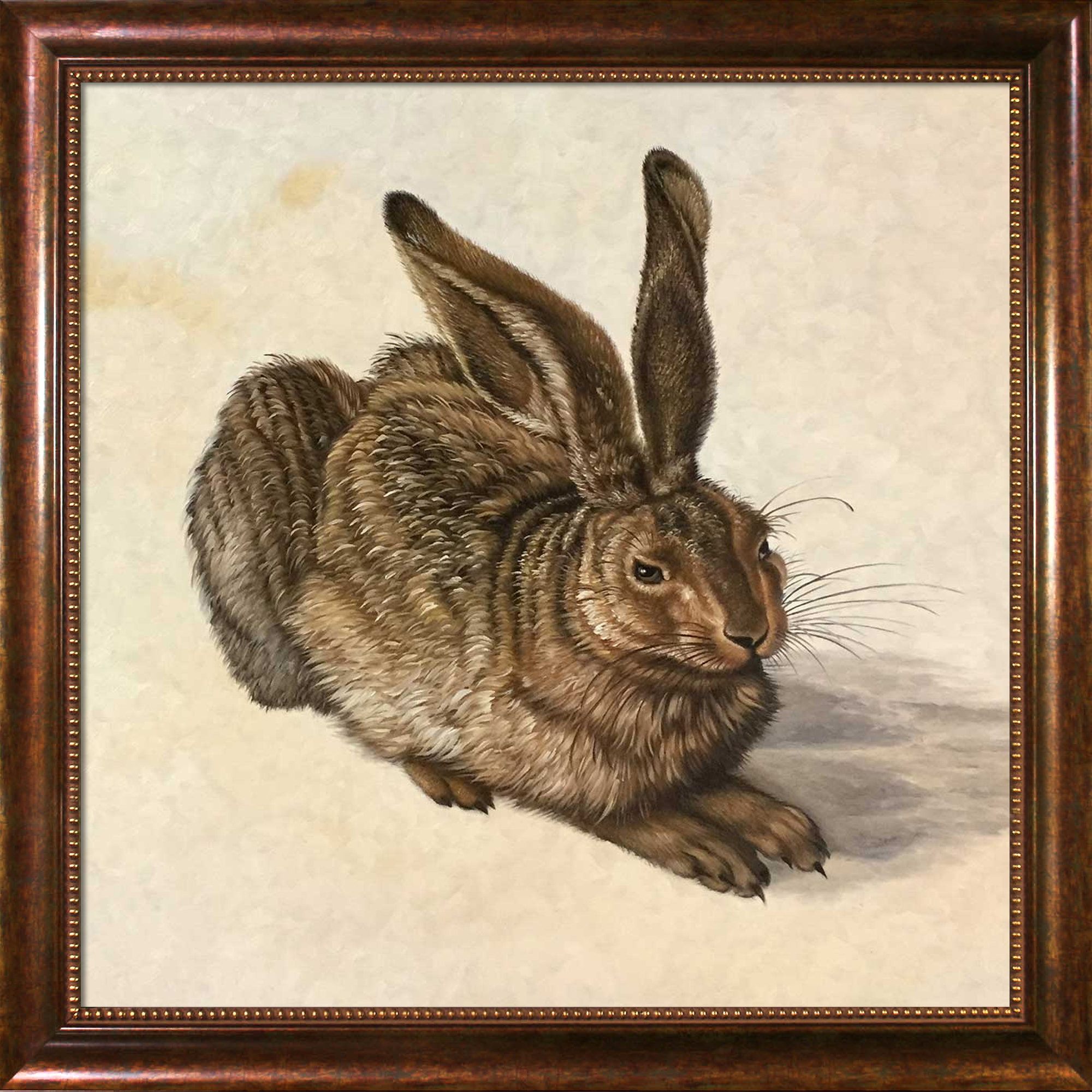 Overstock Art Young Hare24x24 Young Hare by Albrecht Durer - Picture ...