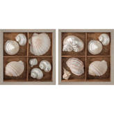 Dovecove Shell Rings Shadow Box Wall Décor & Reviews | Wayfair