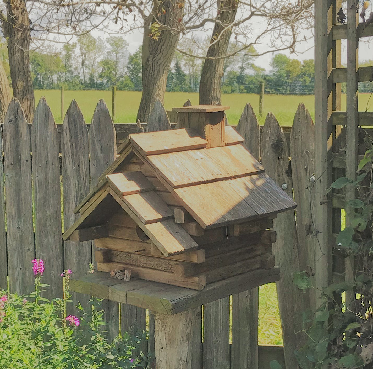 Home Bazaar Bird In Hand 16.75'' H x 16'' W x 15.5'' D Post Birdhouse ...