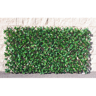 ESEssentials 3.5 ft. H x 6.5 ft. W Beach Leaf Accordion Expandable Wall ...
