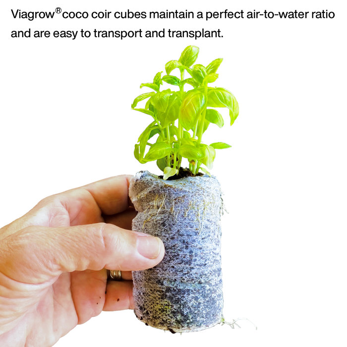 Viagrow Seed Starter Plugs Growing Kit & Reviews | Wayfair