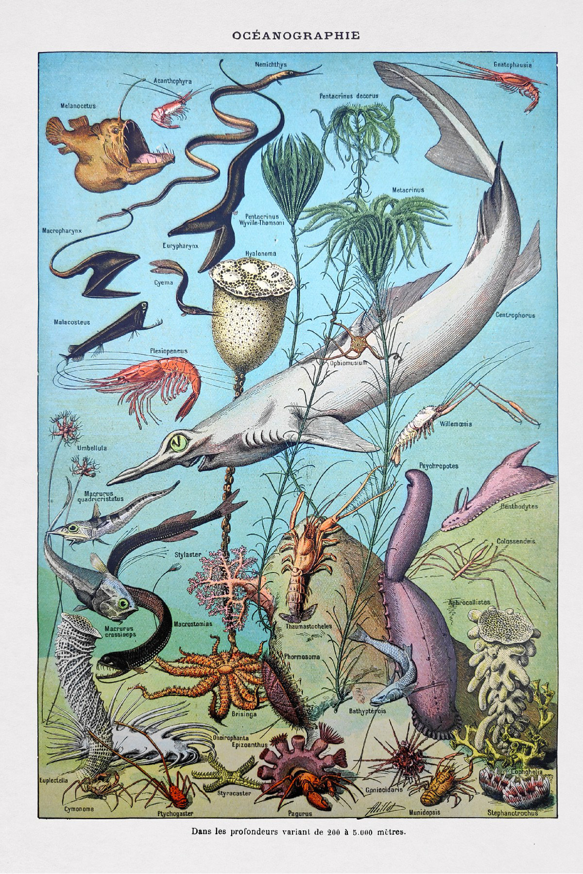 Highland Dunes 19Th Century Oceanography - Wrapped Canvas Graphic Art ...