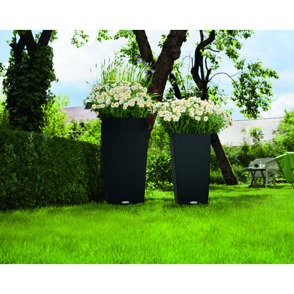 Lechuza Cubico Plastic Pot Planter - Wayfair Canada