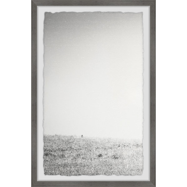 Natur Pur Euben Print | Wayfair.co.uk