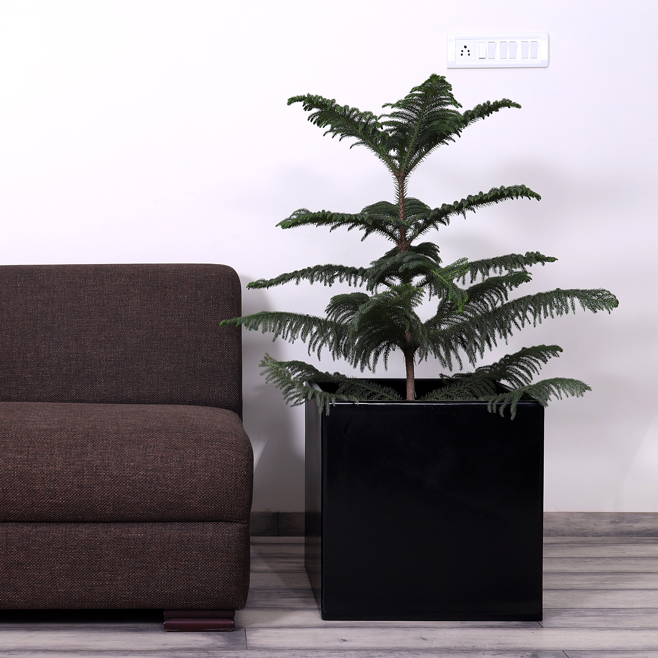 Ebern Designs Margerite Fiberglass Planter Box | Wayfair