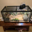 REPTIZOO 40 Gallon Terrarium & Reviews | Wayfair