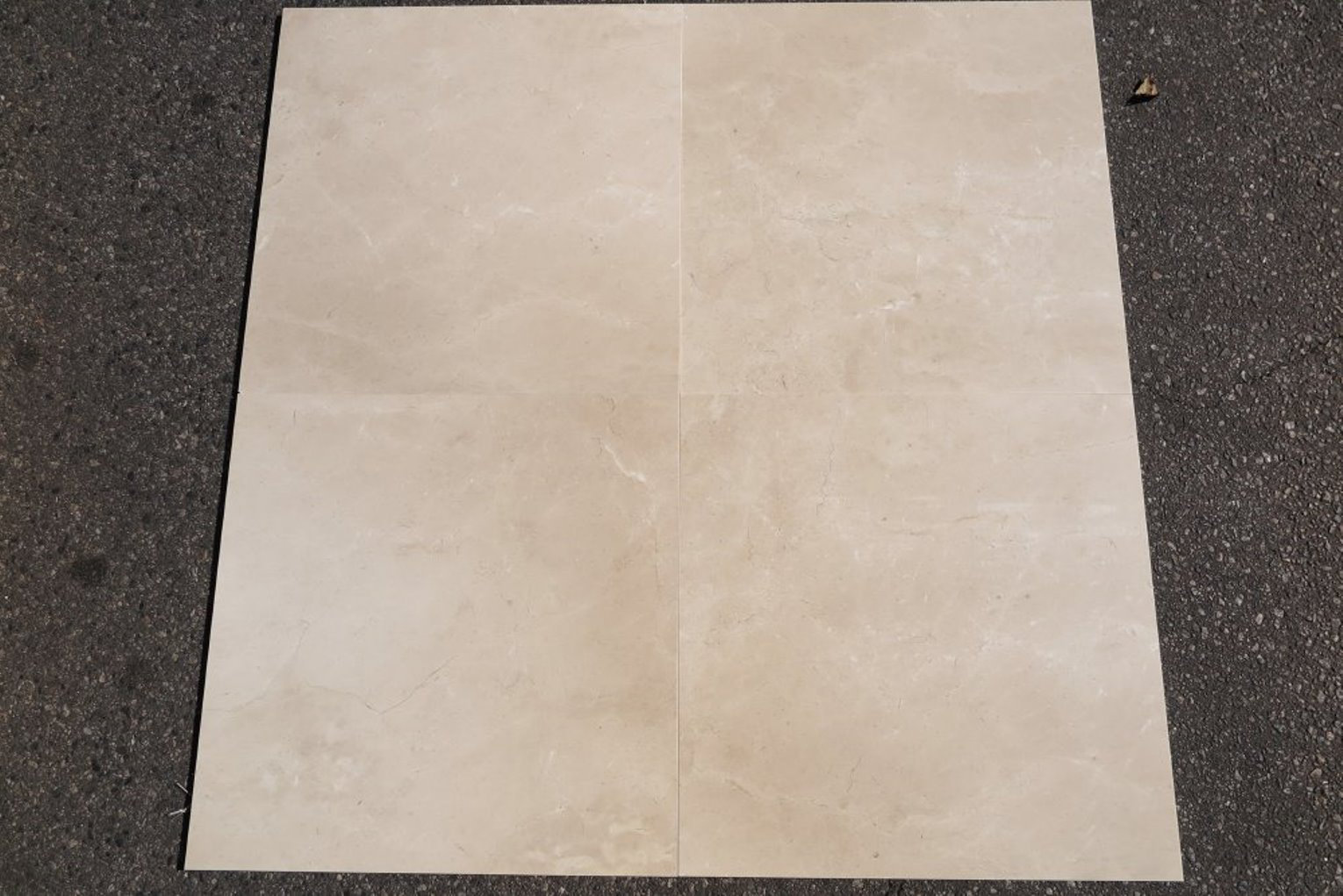 Stone & Tile Shoppe, Inc. 12" x 24" Marble Marble Look Wall & Floor ...