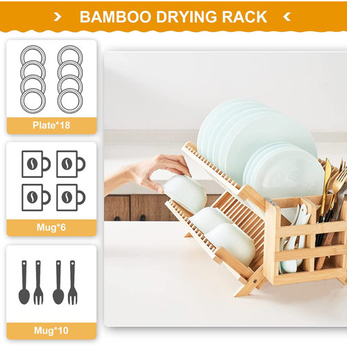 ColorLife Dish Rack | Wayfair