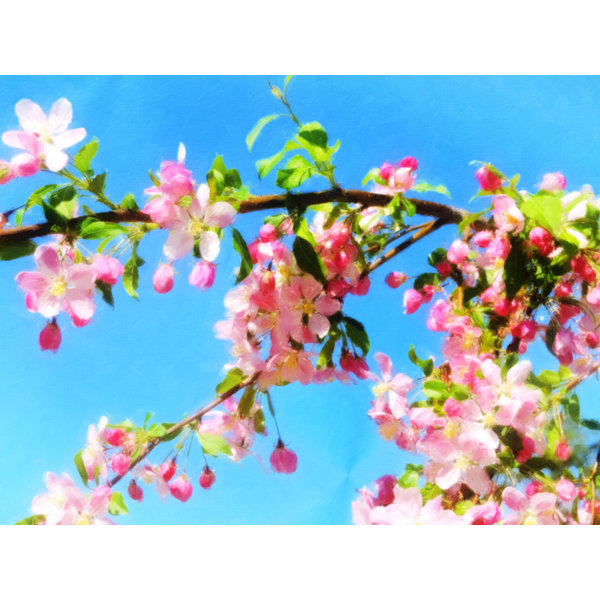 Back-spring | Wayfair