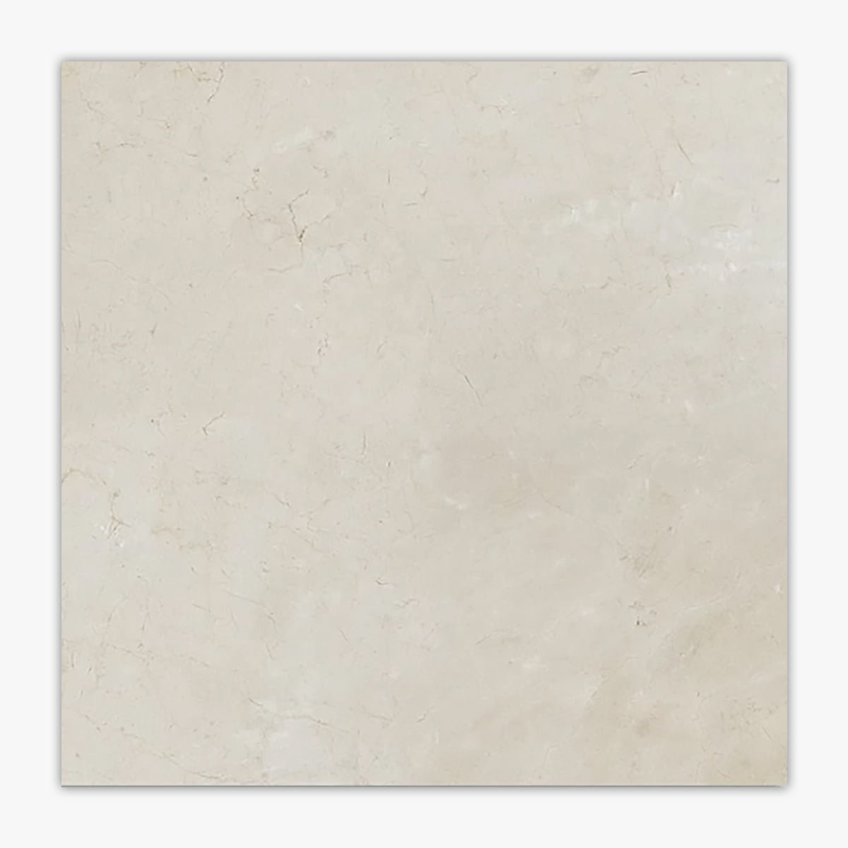Direct Stone Source 24" x 24" Marble Stone Look Wall & Floor Tile | Wayfair