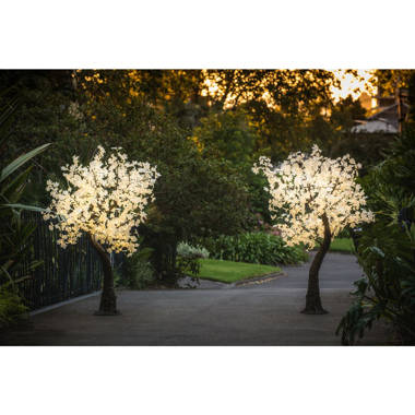 Illuminated Trees 58'' LED Lighted Trees & Branches | Wayfair