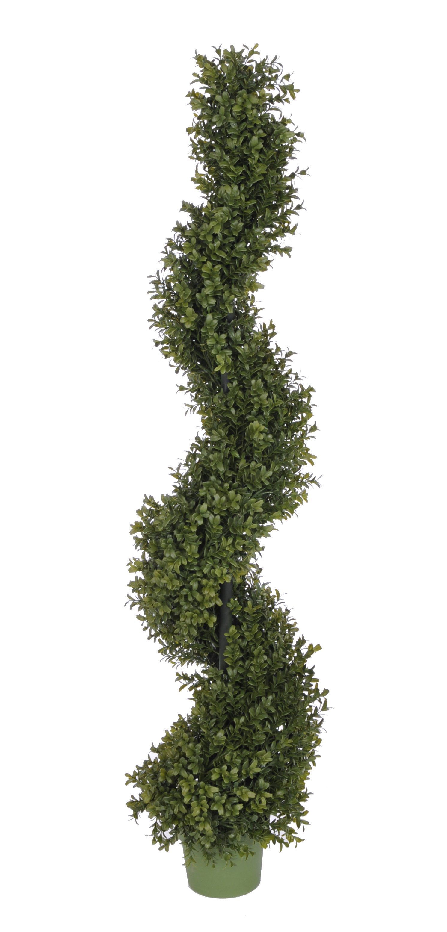Darby Home Co Faux Boxwood Topiary in Pot & Reviews | Wayfair