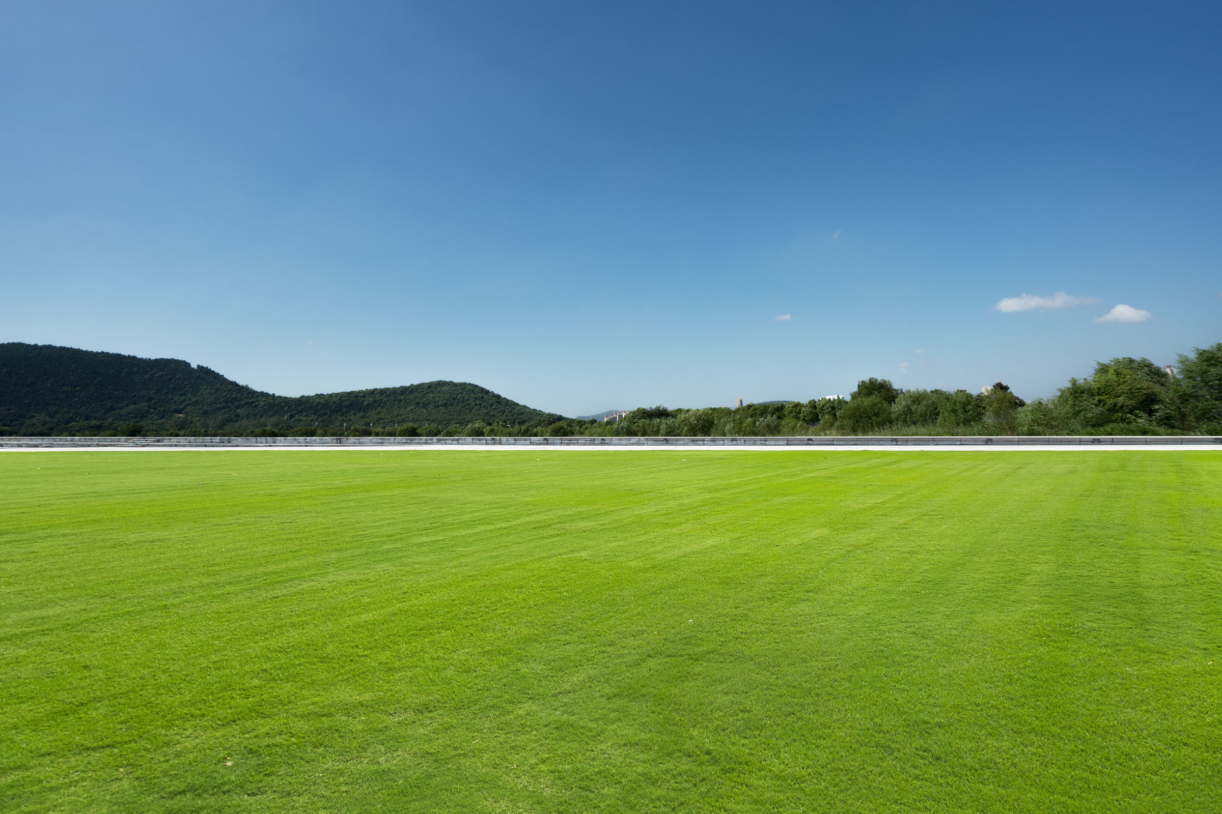 Ebern Designs Field And Mountain On Canvas by Hallojulie Photograph ...