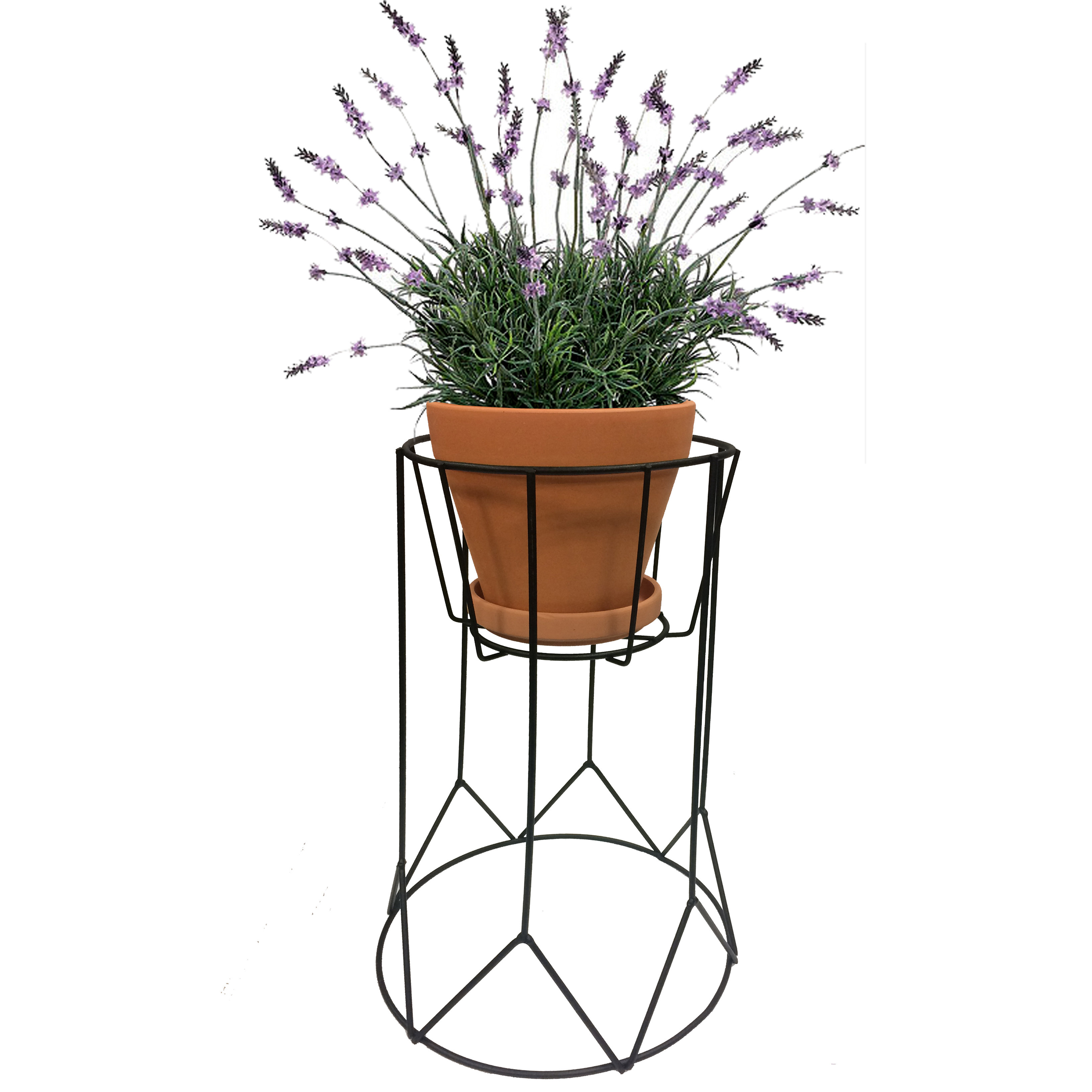Gardener Select Wire Plant Stand | Wayfair