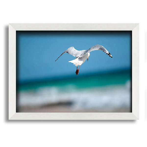 House of Hampton Akbar Seagull over the Ocean - Single Picture Frame ...
