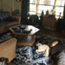 Bungalow Rose Rouillard Southwestern Aqua/Navy Area Rug & Reviews | Wayfair