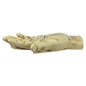 Design Toscano The Palmistry Hand Sculpture & Reviews | Wayfair