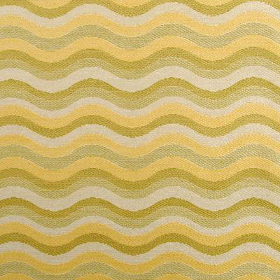 Duralee Alfred Shaheen Ringo Fabric | Wayfair