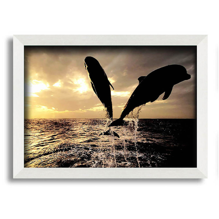 House of Hampton Lelia Double Dolphin Jump - Single Picture Frame Art ...