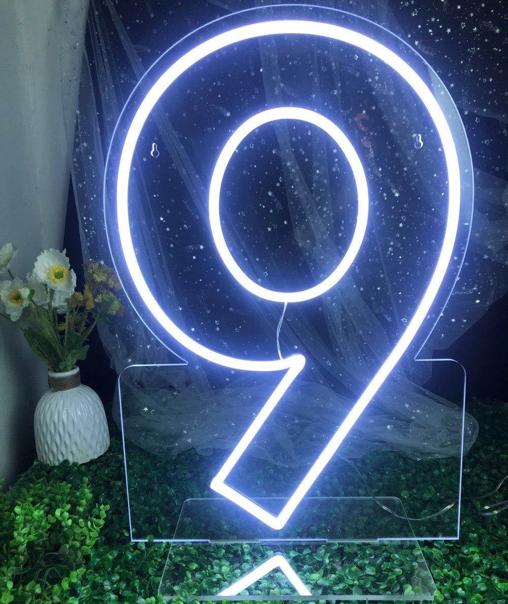 Fashion and Fascinating 24″ Tall Number Neon Sign【9】 | Wayfair