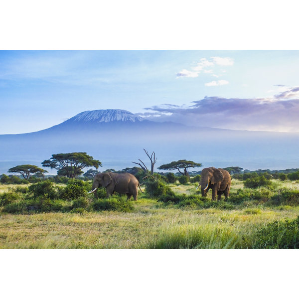 Millwood Pines Elephants And Kilimanjaro - Wrapped Canvas Photograph ...