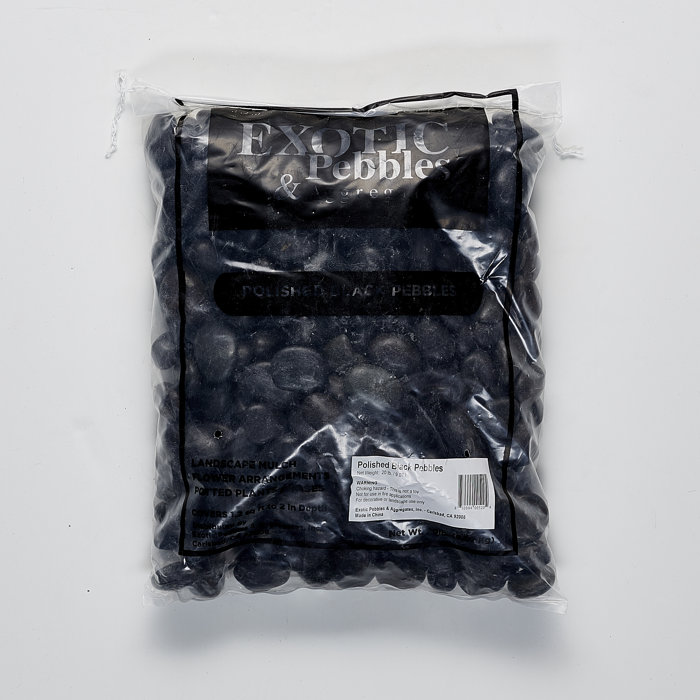 Exotic Pebbles & Glass Polished Pebbles & Reviews | Wayfair