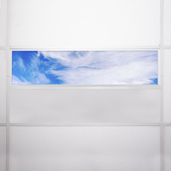 Octo Lights Clouds Flexible Decorative Light Cover | Wayfair