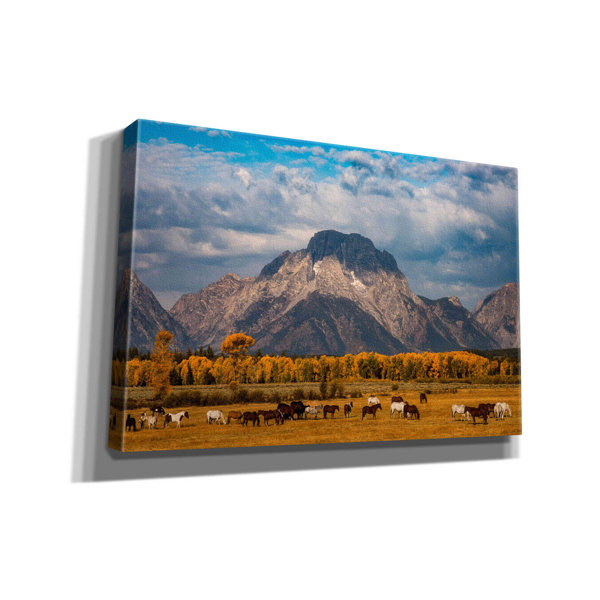 Union Rustic Epic Graffiti 'Teton Horse Ranch Grand Teton Nati Teton ...