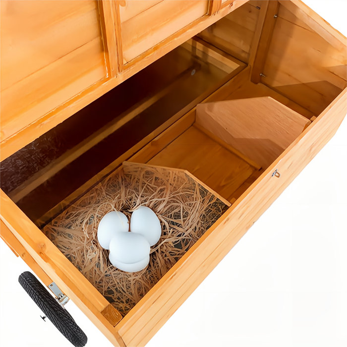 Tucker Murphy Pet™ Datavian 27.39 Square Feet Chicken Coop with ...